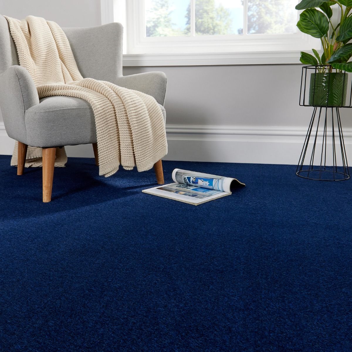 blue carpets
